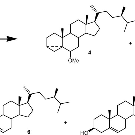 Pdf Synthesis Isolation And Characterisation Of β Sitosterol And β Sitosterol Oxide Derivatives
