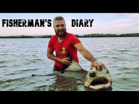 Jacobs Well Bull Shark At Cabbage Tree Point Boat Ramp ~ Fisherman's ...