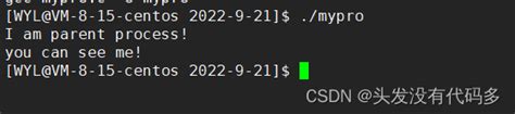 linux——进程 描述进程 pcbtask struct pcb的一种组织进程 查看进程父进程和子进程 pid获取 父子关系 fork初识