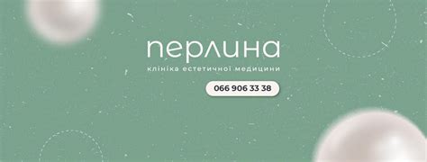Ветеринарна клініка 4 лапи У чому небезпека переїдання та як наслідок ожиріння