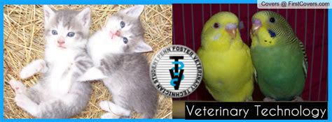 Veterinary Technician Quotes Quotesgram