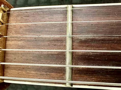 How To Prevent Electric Guitar Strings From Rusting Fretboardfrenzy Com