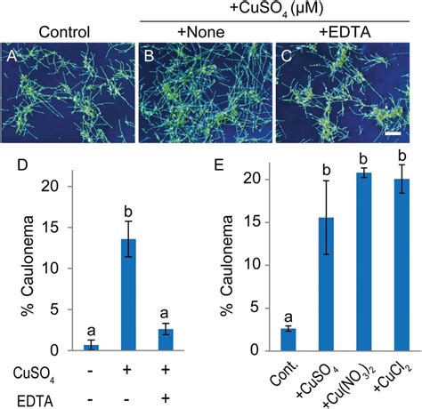 Effects Of Co Application Of Ethylene Diaminetetraacetic Acid Edta