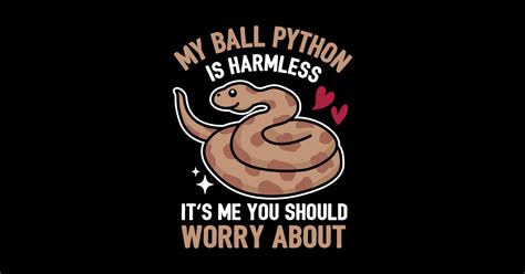 My Ball Python Is Harmless Funnytee Sticker Teepublic
