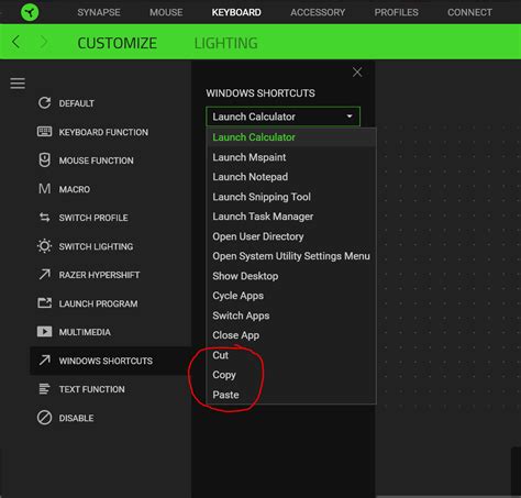 Copy And Paste Macro Razer Insider