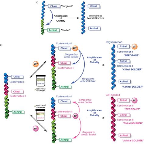 Chiral Amplification Effects On Helical Polymers Conceptual