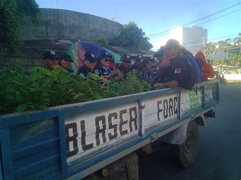 Plant A Tree And Contribute To The Environments Diversity Part Ii