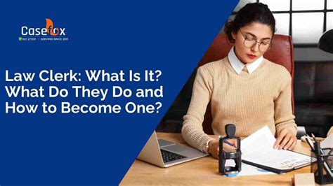 What Is A Law Clerk What Do They Do Casefox