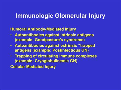 Ppt Glomerular Diseases Powerpoint Presentation Free Download Id