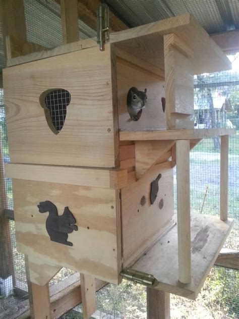 Squirrel Nesting Box