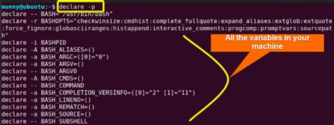 The Declare” Command In Linux 7 Practical Examples