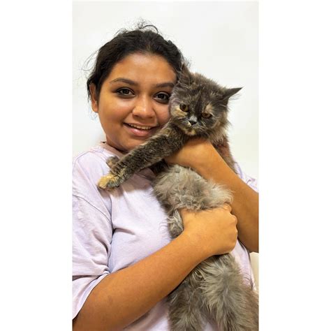 Siddhi Chavan Siddhi 14 • Instagram Photos And Videos