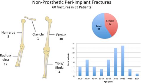 Demographics And Distribution Of Fractures Download Scientific Diagram