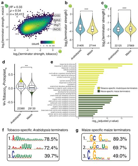 plant terminator strength is species specific a hexbin plot