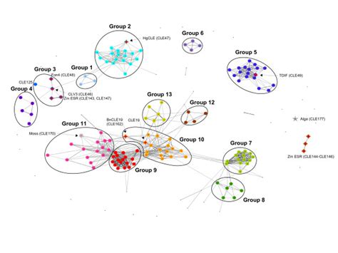 Analysis Of Sequence Similarity In The Cle Domain Clans Clustering Of