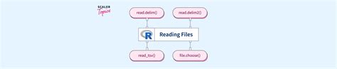 Reading Files In R Programming Scaler Topics