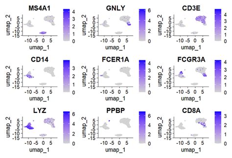 单细胞基础分析（seurat包） Seurat单细胞分析 Csdn博客