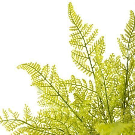 Искусственные растения для фитостены – купить оптом и в розницу ...