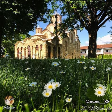 Светосавље Крсна Слава