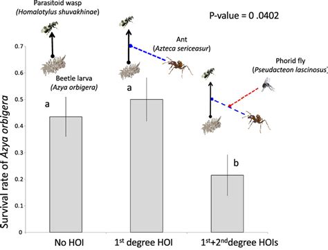 The Survival Rate Of Azya Orbigera After Being Exposed To The Wasp With Download Scientific