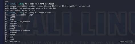 使用sqlmap进行注入流程sqlmap注入 Csdn博客 使用sqlmap进行注入流程sqlmap注入 Csdn博客