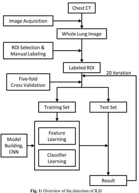 Figure 1 From Pattern Classification Of Interstitial Lung Disease In