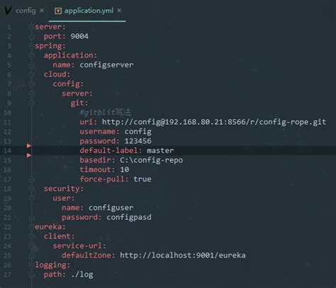 Config Two Ways To Use It，however One Does Not Understand Discovery Enabled True Discovery