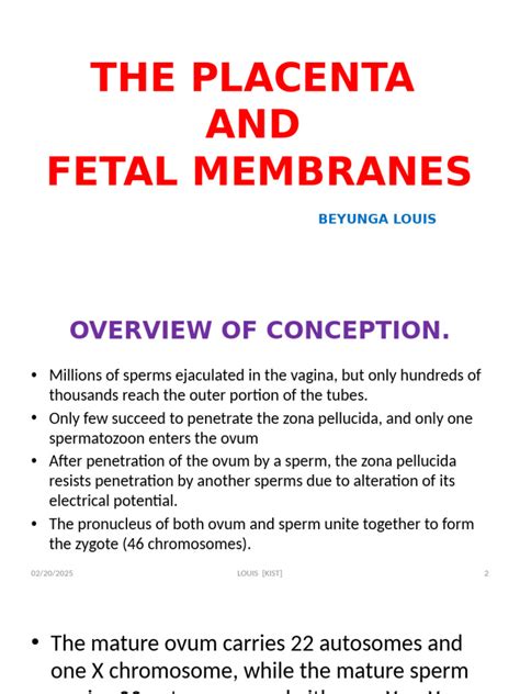 Placenta And Fetal Membranes 1 Pdf Placenta Anatomy