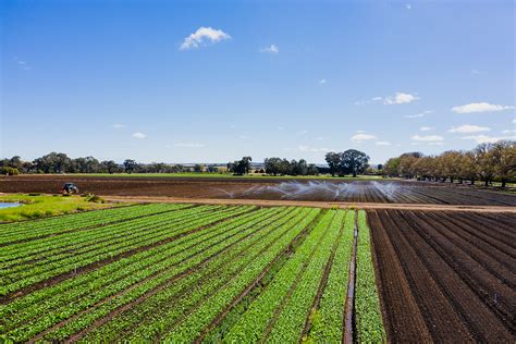 New Hub To Develop Next Gen Smart Fertilisers For Australian Farmers
