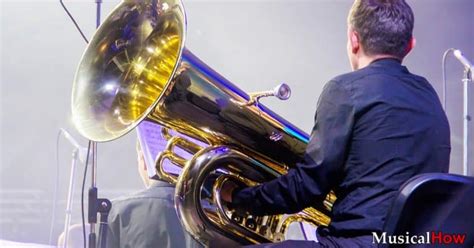 9 Different Types Of Tubas Musicalhow