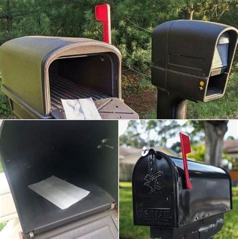 Keeping Wasps Away From Mailboxes A Simple Solution Easy To Cook