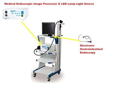 2015 Top Selling Medical Electronic Gastroscope Electronic