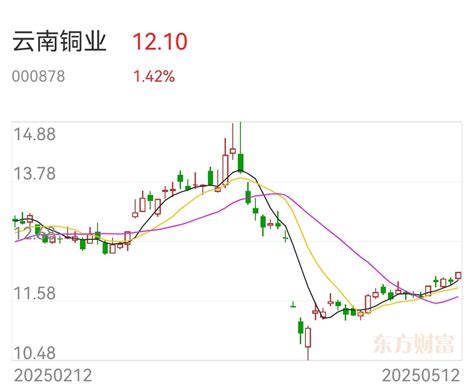 中国铜业巨头宣布注入资产，停牌！ 财富号 东方财富网