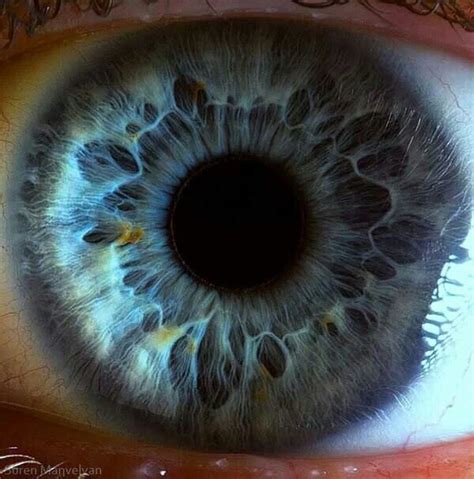 The Eyes Have It The Iris Pictured In Remarkable Detail By Incredible