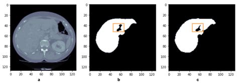 Applied Sciences Free Full Text Mixed Sized Biomedical Image