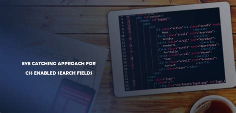 EFFECTIVE APPROACH TO PROJECT YOUR SEARCH FIELD ATTRACTIVE USING CSS Web Design Company In