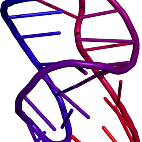 An Example Rna Structure With A Pseudoknot A Projection Of A 3d Download Scientific Diagram