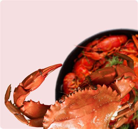 Крабы и раки | Купить