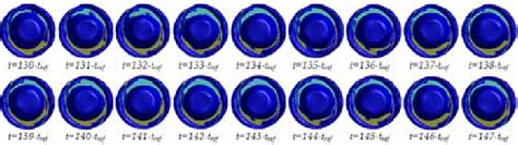 Temporal Evolution Of The Vapour α 20 In The Two Blade Inducer