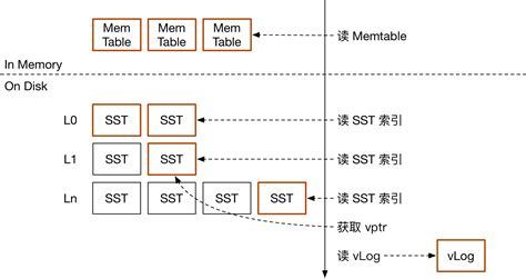 Lsm 存储引擎中 Kv 分离的实现