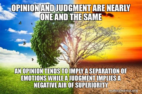 Opinion And Judgment Are Nearly One And The Same An Opinion Tends To