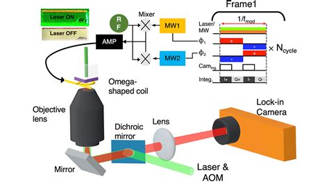 Quantum Diamond Magnetometer Approach Paves Way For Imaging Neurons With Microscopic Precision