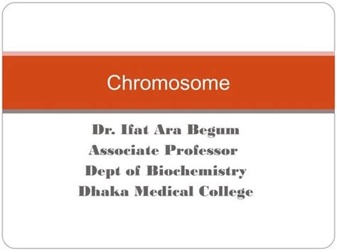 Chromosome Structure And Function Ppt