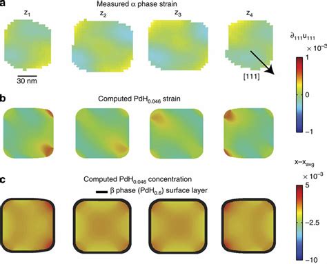 Strain Field Cross Sections In The α Phase Compared With Phase Field