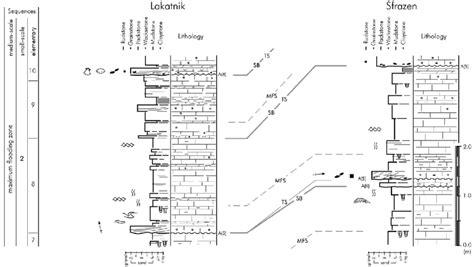 Elementary Sequences In The Maximum Flooding Zone Of The Lowermost