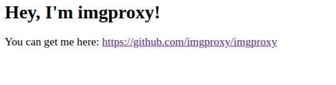 docker container doesn t work · issue 258 · imgproxy imgproxy · github