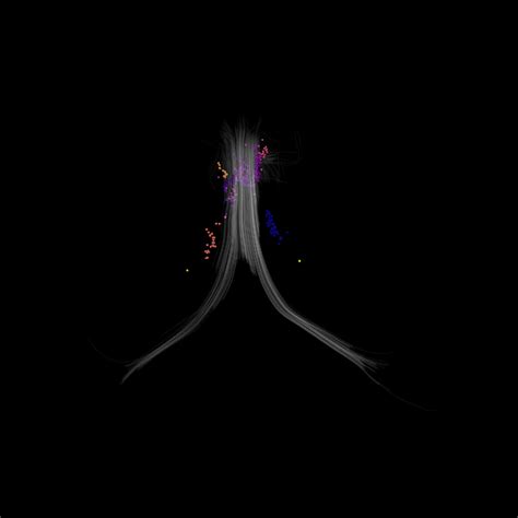 Tractography Clustering Available Features — Dipy 1110 Documentation