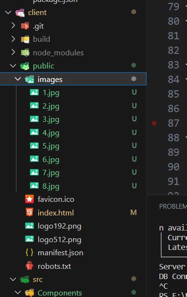 React Not Showing Local Images Load Local Image Without Importing Them In React Rahul Bhati