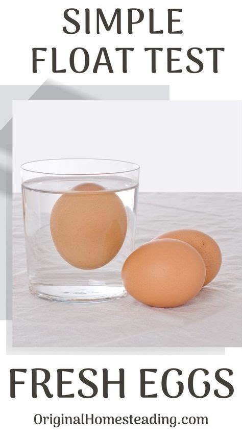 Wondering If An Egg Is Safe To Eat Check Out How To Do The Simple Egg Float Test To Determine