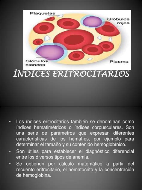 Índices Eritrocitarios Pdf Lactato Deshidrogenasa Glóbulo Rojo